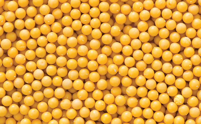 Nichigo G-Polymer™ Applications | Soarus LLC